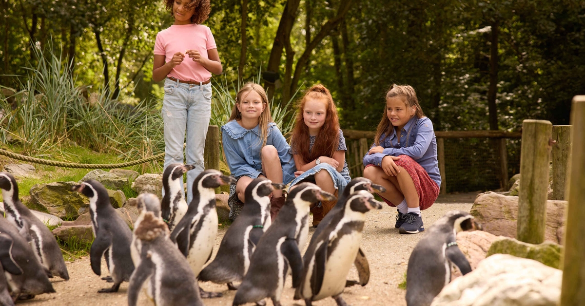 Tickets | AquaZoo Leeuwarden